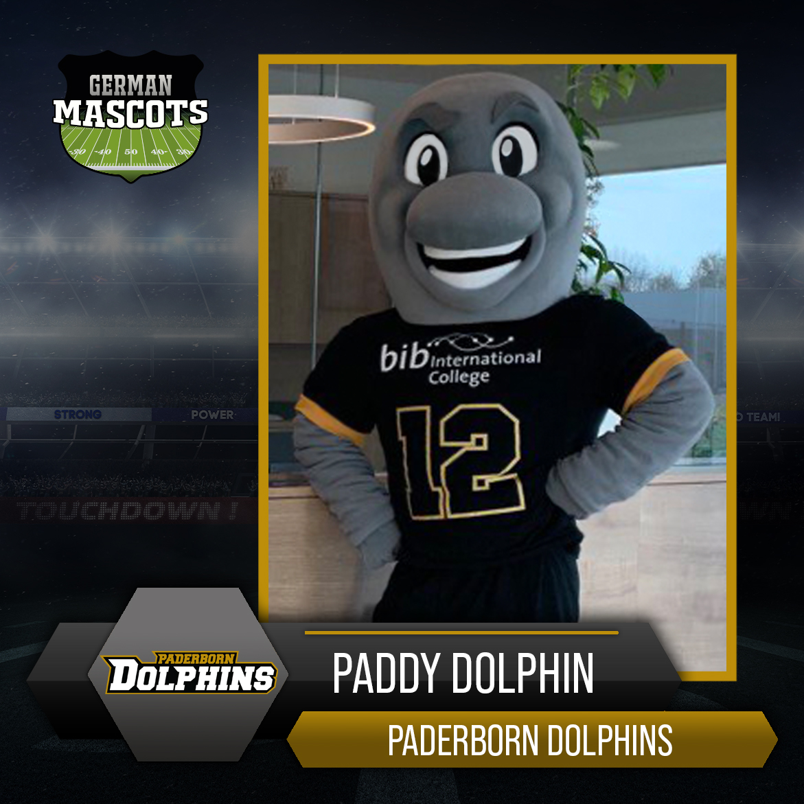 Paddy Dolphin - German Mascots